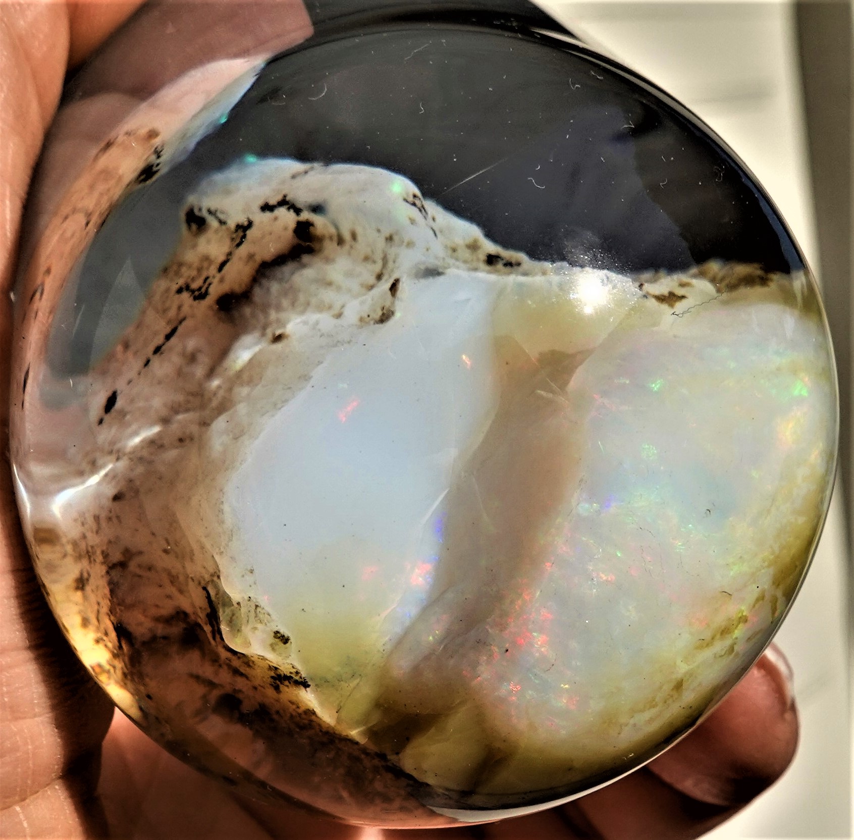 Opal ( # 10044 ) – Virgin Valley Opal Mine